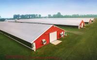 China Prefab Steel Structure Poultry Chicken House for 10000 Birds Custom Size for sale