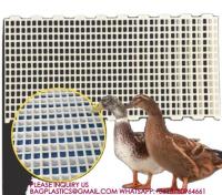 China PP Plastic Poultry Slatted Floor 1200x500x40mm 2.3kg for Chicken Duck Farm Equipment for sale
