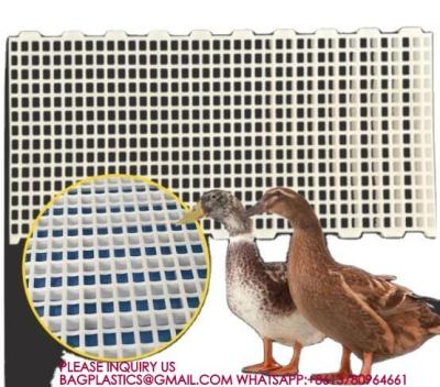 China PP Plastic Poultry Slatted Floor 1200x500x40mm 2.3kg for Chicken Duck Farm Equipment for sale