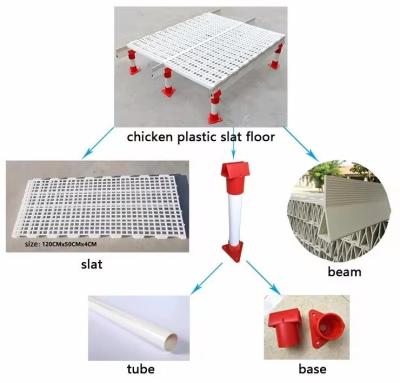 China PP Plastic Slat Floor for Poultry Chicken Farm 1200x500x40mm 250kg Load Capacity for sale