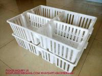 China Virgin PP Poultry Transport Cage 680x490x160mm 50kg Load Capacity for Live Chicken for sale