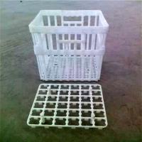China Virgin PP Chicken Transport Cage 680x490x160mm with Partition Board for Live Poultry 50kg Load for sale