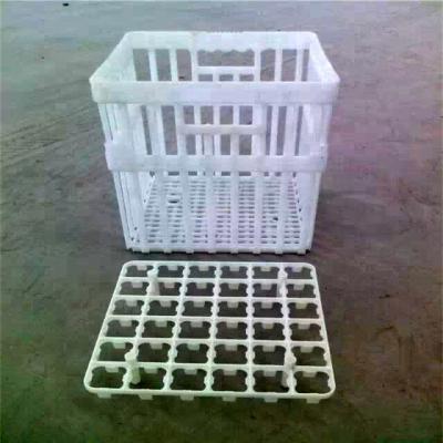 China Virgin PP Chicken Transport Cage 680x490x160mm with Partition Board for Live Poultry 50kg Load for sale