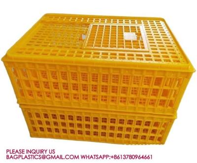 China Plastic Poultry Transport Cage 680x490x160mm Virgin PP Chicken Duck Goose Crate 50kg Load for sale