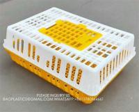 China Plastic Poultry Transport Cage 95x55x27cm 7kg New PP Chicken Duck Goose Crate for sale