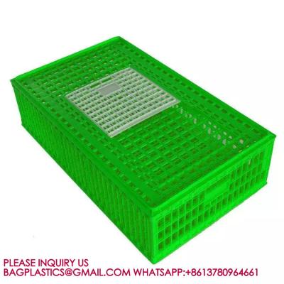 China Plastic Poultry Transport Cage 750x550x290mm 50kg Capacity Chicken Crate for Farm Use for sale