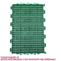 China 400x600mm Virgin PP Plastic Slat for Sow Floor 450kg Bearing Capacity Green for sale