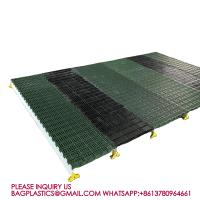 China Virgin PP Plastic Slat Flooring 600x600mm for Pig Farm Farrowing Sow Floor 450kg Bearing for sale