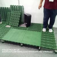 China 600x600mm PP Plastic Slat Floor for Pig Farrowing Crate 900kg Capacity for sale