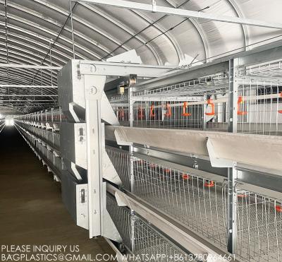 China H Type 4 Tier Automatic Battery Chicken Breeder Cage 150 Birds Hot Dip Galvanized Steel Poultry Farming Equipment for sale