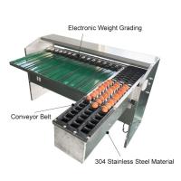 China Automatic Egg Grading Machine 5400 PCS/H 200W Commercial Egg Sorting and Weighing Line for sale