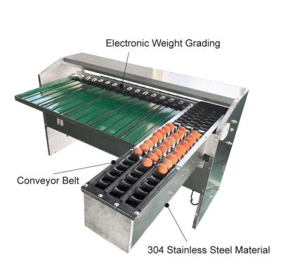 China Automatic Egg Grading Machine 5400 PCS/H 200W Commercial Egg Sorting and Weighing Line for sale