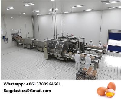 China Fully Automatic Egg Yolk Powder Production Line 200L-1000L Egg Liquid Processing Machine for Chicken Duck Goose Eggs for sale