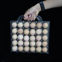 China Transparent PET Plastic Egg Tray 28/30 Egg Carrier Durable Blister Pack with Handle for Food Storage for sale