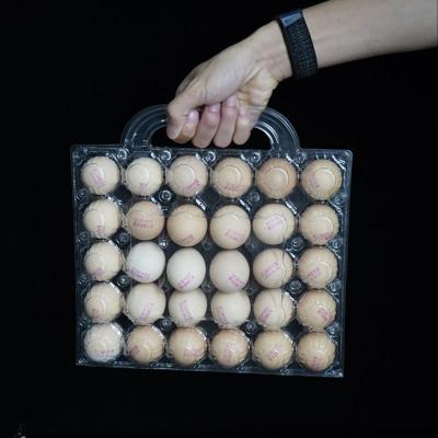 China Transparent PET Plastic Egg Tray 28/30 Egg Carrier Durable Blister Pack with Handle for Food Storage for sale