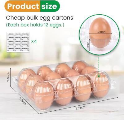 China 60 Pack Clear Plastic Egg Cartons for Medium Eggs with Date Labels Bulk Reusable PET Egg Containers for Farm Market Display for sale