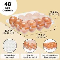 China Clear PET Plastic Egg Cartons 12-Count Pack of 48 Reusable Egg Storage Containers with Date Labels 285x565mm for sale
