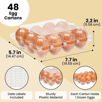China Clear PET Plastic Egg Cartons 12-Count Pack of 48 Reusable Egg Storage Containers with Date Labels 285x565mm for sale