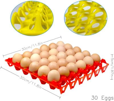 China Reusable Plastic Egg Tray 30 Egg Flats Stackable Egg Crates for Home Chicken Farmers Durable PP Material for sale