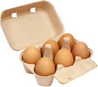 China Biodegradable Paper Pulp Egg Cartons 12-Cell 19.5x16x5 cm for Duck Quail Chicken Eggs for sale