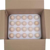 China Custom EPE Foam Egg Tray with Corrugated Cardboard Box 12 Hole Eco-Friendly Packaging for sale