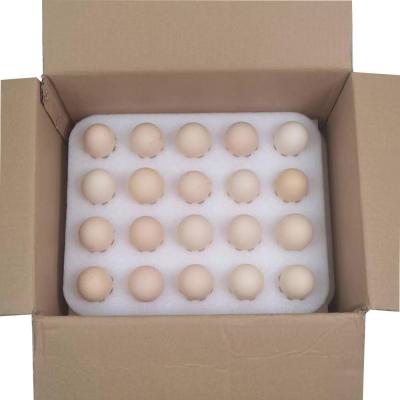China Custom EPE Foam Egg Tray with Corrugated Cardboard Box 12 Hole Eco-Friendly Packaging for sale