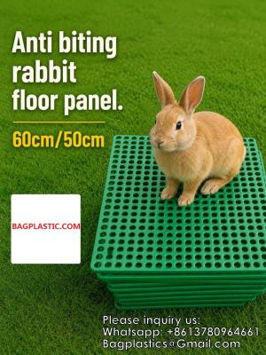 China Plastic Rabbit Cage Mat Floor 30x50cm Anti-Slip Resting Pad for Small Animal Feet Protection for sale