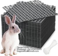 China Plastic Rabbit Slat Floor 30x50cm Anti-Bite Cage Mat for Easy Clean Manure Management for sale