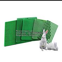 China Plastic Rabbit Slat Floor 30x50cm Anti-Bite Cage Mat for Easy Clean Manure Management for sale