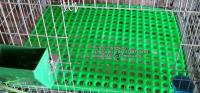 China Plastic Rabbit Slat Floor 30x50cm Anti-Bite Cage Mat for Easy Clean Manure Management for sale