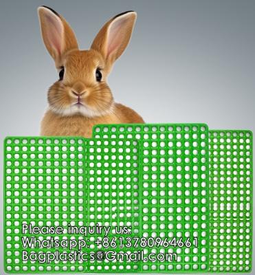 China Plastic Rabbit Slat Floor 30x50cm Anti-Bite Cage Mat for Easy Clean Manure Management for sale