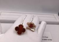 China Women'S Red Beautiful Luxurious 18K Gold Earrings With Carnelian for sale