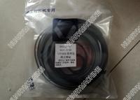 China XCMG Excavator parts, 860128457 ARM cylinder seal kit for sale