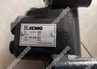 China XCMG wheel loader parts, 803004042 XF-B6 limit valve for sale