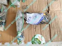 China XCMG wheel loader parts,   252100622 Z5G.6.21 bucket cylinder pin for sale