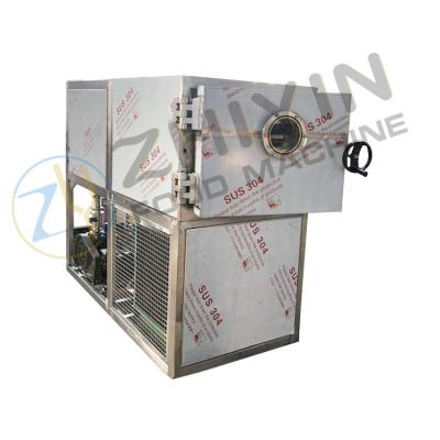 China Frozen Dried Jujube Processing Equipment Freeze Drying Machine for sale