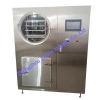 China Lyophilization Machine Lab Vacuum Freeze Dryer Freeze Drying Machine for sale