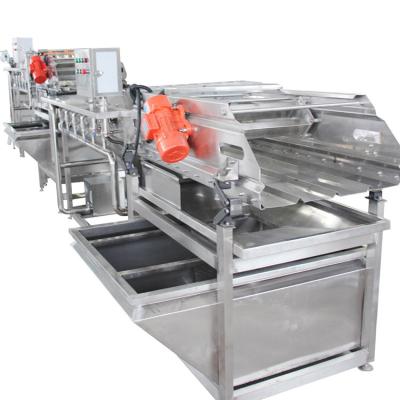 China SUS304 Commercial Radish Vegetable Washing Machine 1000-2000kg/h 4.8KW for sale