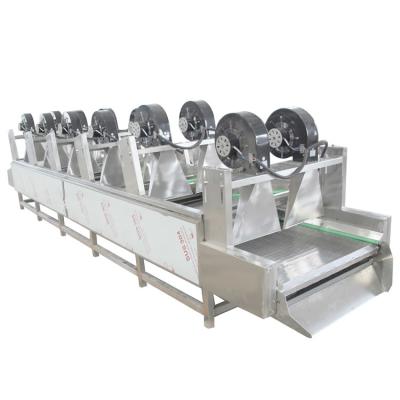 China 600kg/H 900mm Mushroom Vegetable Fruit Natural Air Drying Machine SUS304 for sale