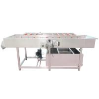 China SUS304 Stainless Steel Brush Vegetable Cleaning Peeling Machine 2000mm 380V for sale
