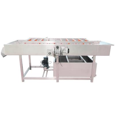 China SUS304 Stainless Steel Brush Vegetable Cleaning Peeling Machine 2000mm 380V for sale