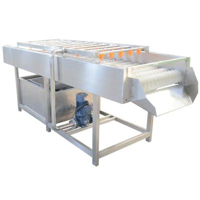 China SUS304 Fruit Vegetable Washing Machine 380V 1.5kw Brush Roller Cleaner for sale