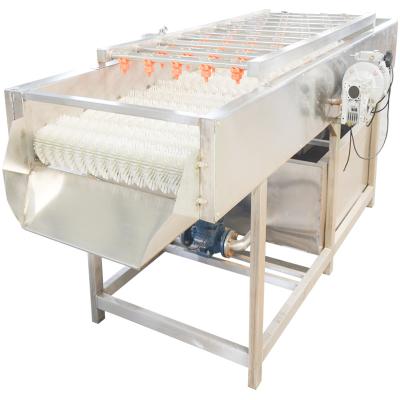 China Industrial Fruit Vegetable Washer Machine 800kg Capacity Parallel Roller Seafood Cleaning for sale