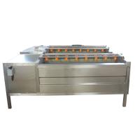 China Industrial Electric Fruit Vegetable Peeler Machine 600mm Roller 300-500kg/h Capacity for sale