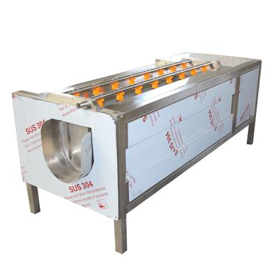 China Automatic Root Vegetable Peeling Machine 304 Stainless Steel 600-1500 kg/h Capacity for sale