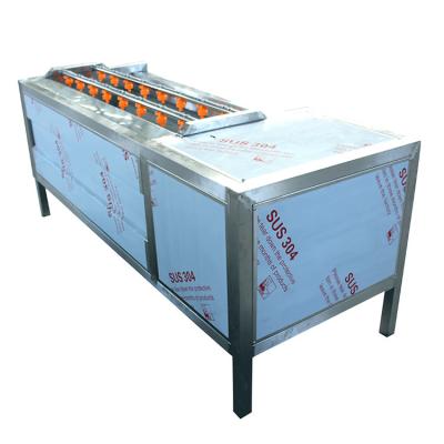 China Industrial Cassava Washing Peeling Machine 1.5KW 1000kg/h for Potato Carrot for sale
