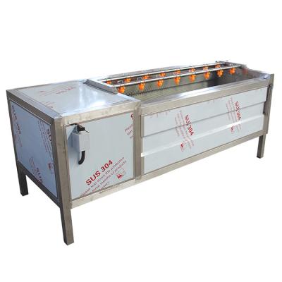 China 1200kg/h Brush Industrial Potato Peeler Fruit Vegetable Peeling Machine 304 Stainless Steel for sale