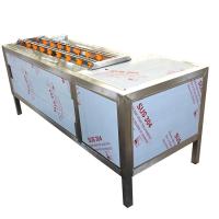 China 1500kg/h Industrial Vegetable Peeling Machine 304 Stainless Steel Brush Washer for sale