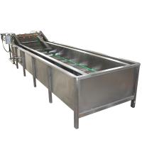 China CE Bubble Washing Machine 1000kg/H 3.6KW Vegetable Fruit Cleaning Equipment for sale