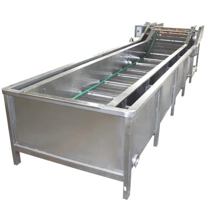 China 304 Stainless Steel Adjustable Spraying Bubble Fruit Vegetable Washing Machine 1200-1500kg/h for sale
